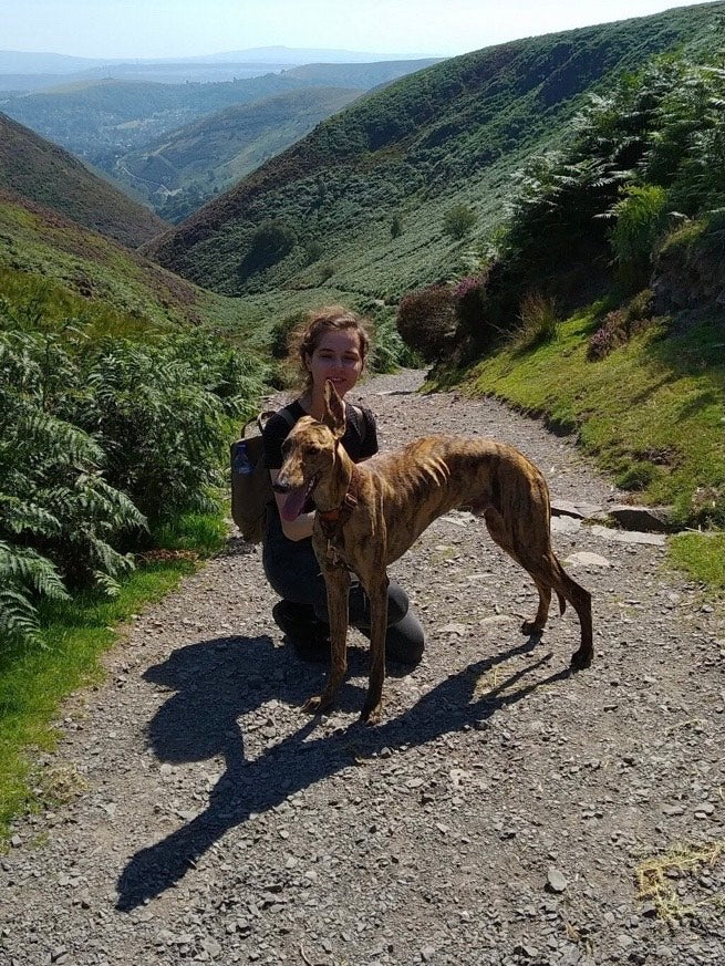About Clifton Dog Walking: Trusted Pet Care Services in Bristol